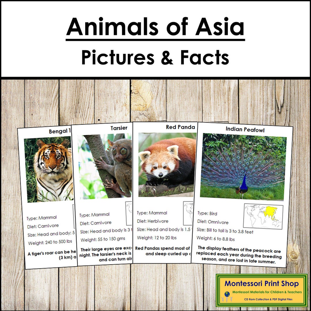 Animals of Asia Facts & Picture Cards (color-coded) - Montessori ...