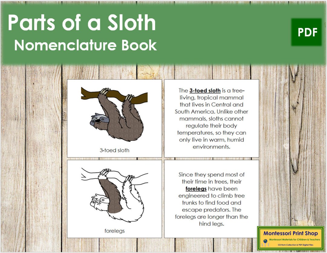 Parts of a Sloth Nomenclature Book Zoology Printable - Etsy