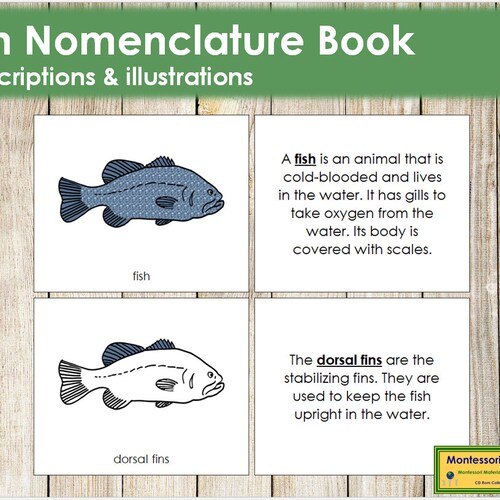 Parts of an Airplane Nomenclature Book Printable Montessori - Etsy