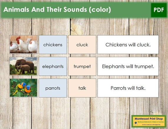 Animals And Their Sounds color Zoology Printable | Etsy