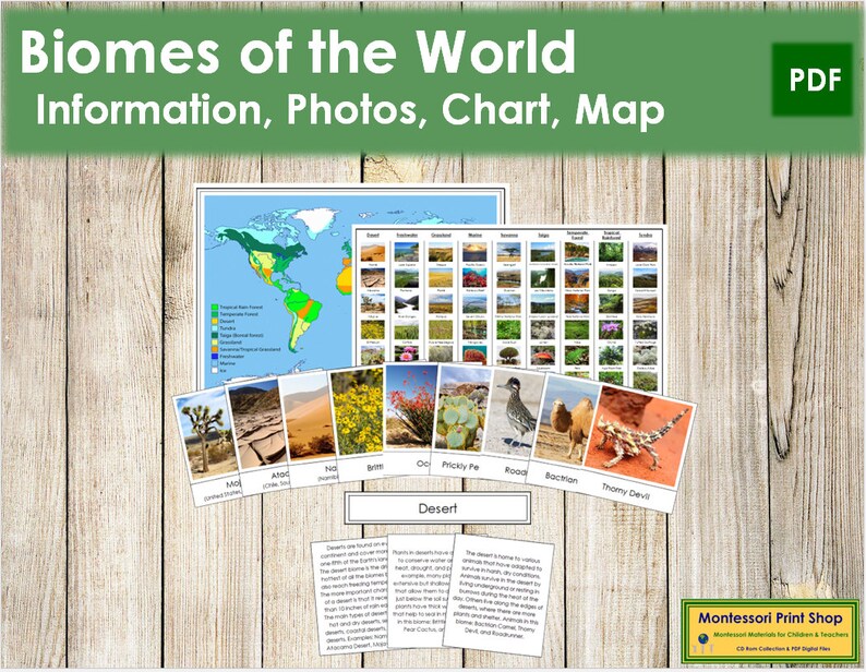 Biomes of the World Printable Montessori Cards Digital - Etsy Canada