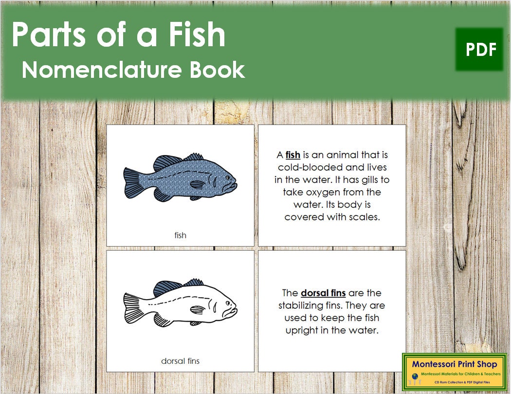 Parts of a Fish Nomenclature Book Montessori Zoology - Etsy UK