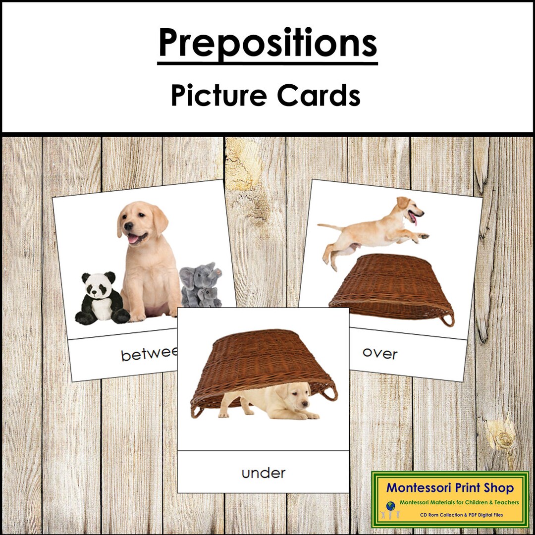 Preposition Picture Cards (dog) - Montessori Language & Grammar ...