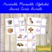 Montessori Moveable Alphabet Sound Cards Bundle Blue/red cursive ...