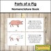 Parts of a Pig Nomenclature Book - Montessori Zoology (digital Download ...