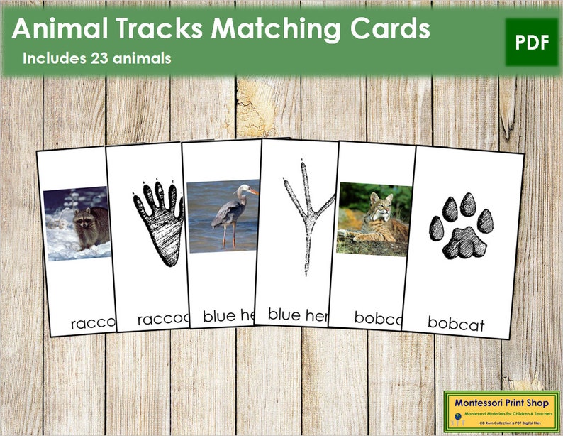 Animal Tracks Matching Cards footprints Zoology | Etsy