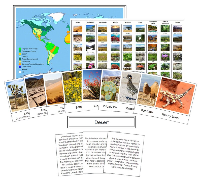 Biomes of the World Sorting Cards, Chart and Information - Montessori ...
