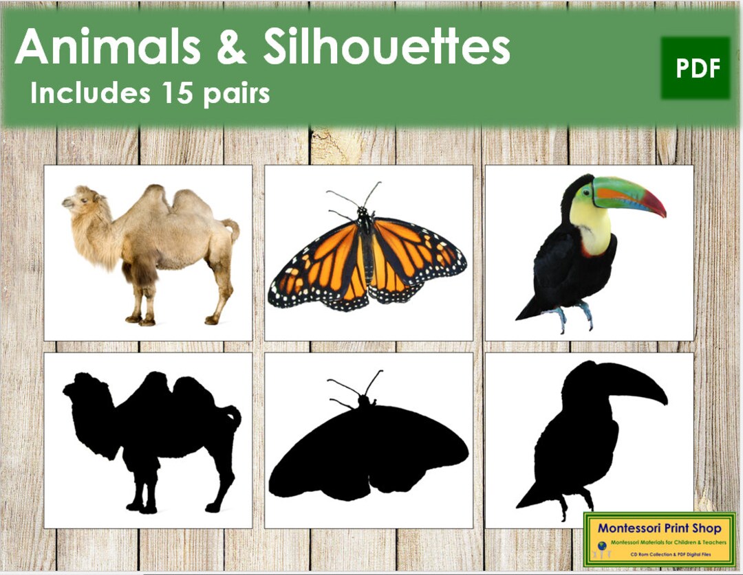 Animal Silhouette Matching Cards Printable Montessori - Etsy