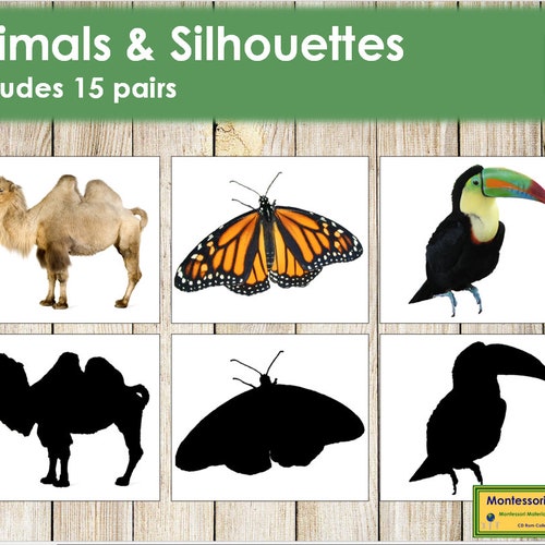 Animal Silhouette Matching Cards Printable Montessori - Etsy