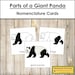Parts of a Giant Panda Nomenclature 3-part Cards & Blackline Master ...