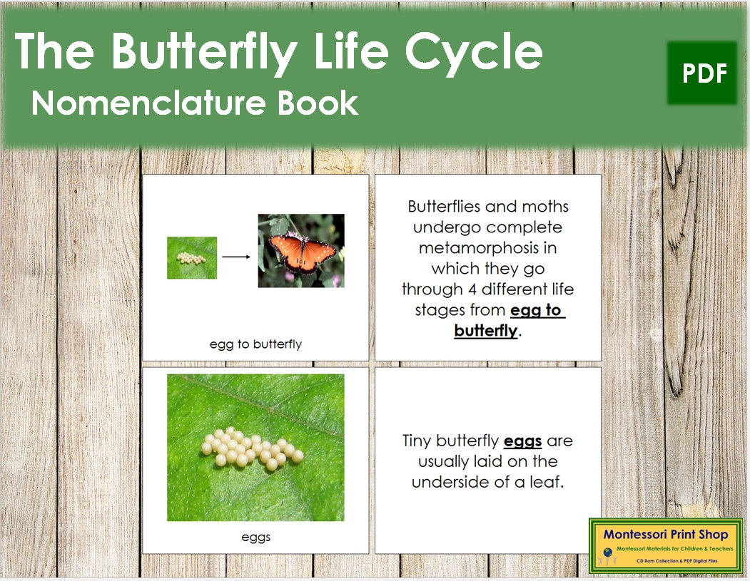 The Butterfly Life Cycle Book Montessori Nomenclature - Etsy