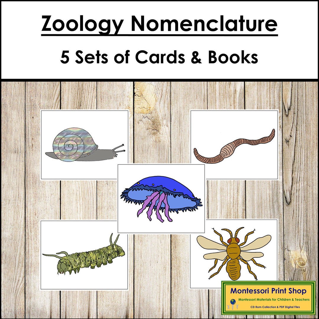 Zoology Nomenclature 3-part Cards & Books Nomenclature Bundle Set 2 ...