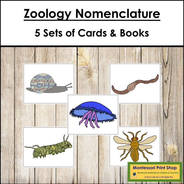 Zoology Book - Etsy