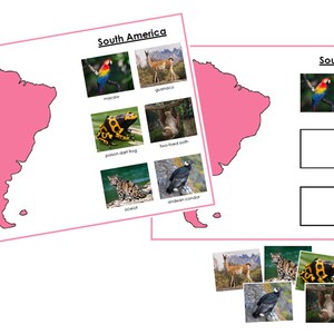 Animals of the Continents Sorting Activity Set 2 [color-coded ...