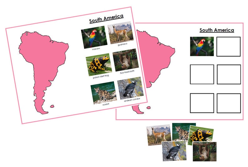 Animals of the Continents Sorting Activity Set 2 [color-coded ...