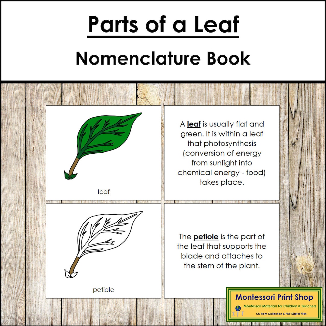Parts of a Leaf Nomenclature Book - Montessori Botany - Printable ...
