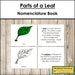 Parts of a Leaf Nomenclature Book - Montessori Botany - Printable ...
