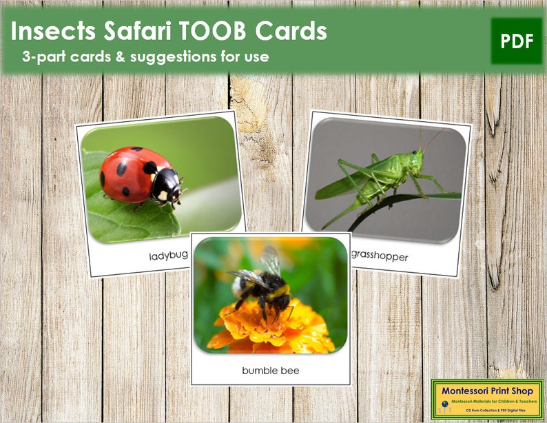 Insects Safari TOOB Cards Printable Montessori Cards - Etsy