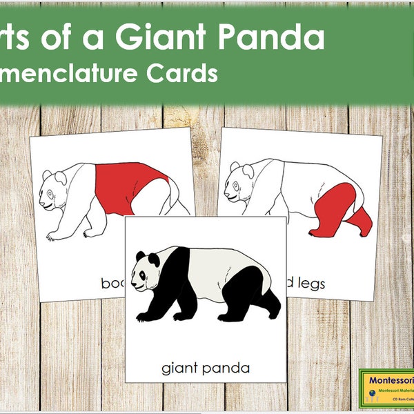 Panda Digital - Etsy