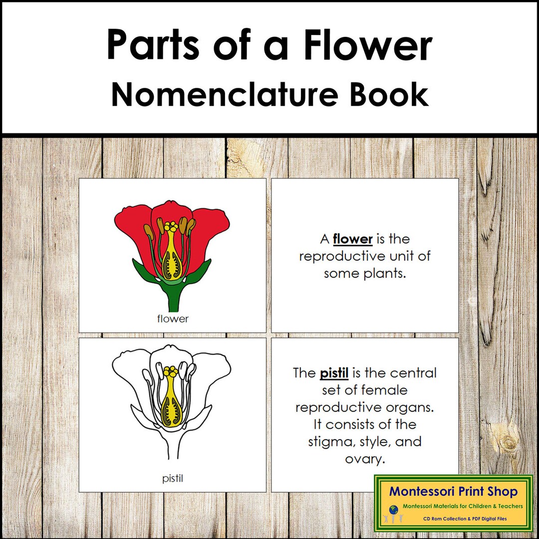 Parts of a Flower Nomenclature Book Montessori Botany - Etsy Finland