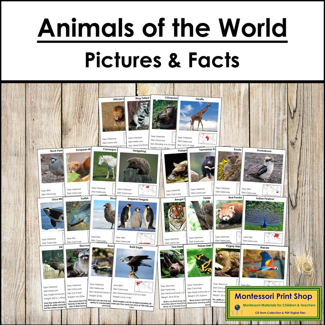 Animals of the World Information Cards Bundle - Montessori Zoology ...
