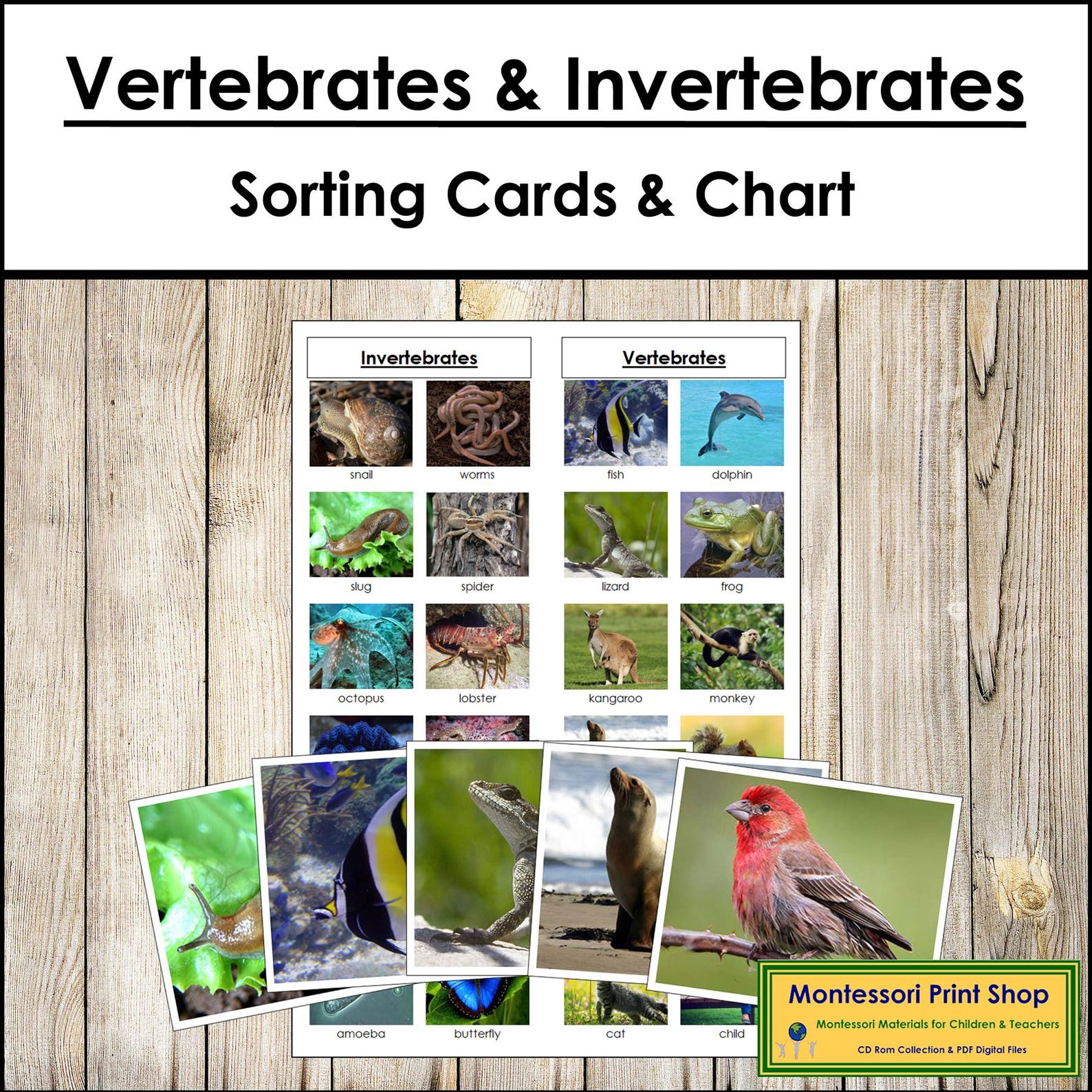 Vertebrates and Invertebrates Sorting Cards & Chart - Montessori ...