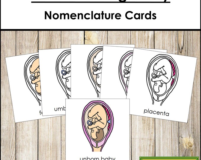 Types of Volcanoes Nomenclature / 3-part Cards / Montessori Flash Cards ...