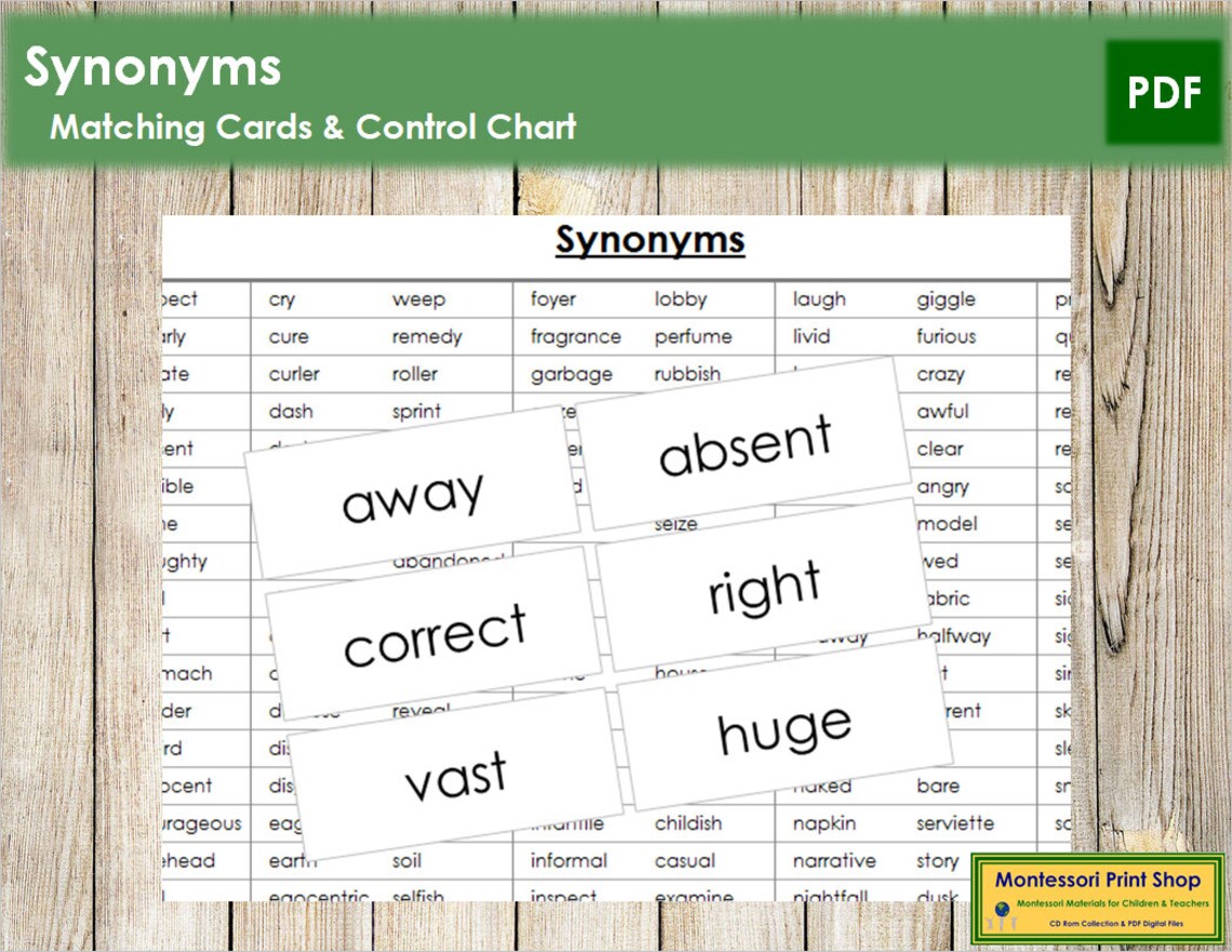 Synonyms Montessori Grammar Printable Montessori Materials | Etsy