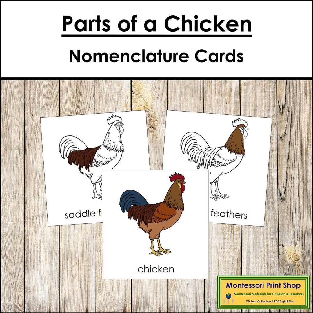 Parts of a Chicken Nomenclature 3-part Cards & Blackline Masters ...