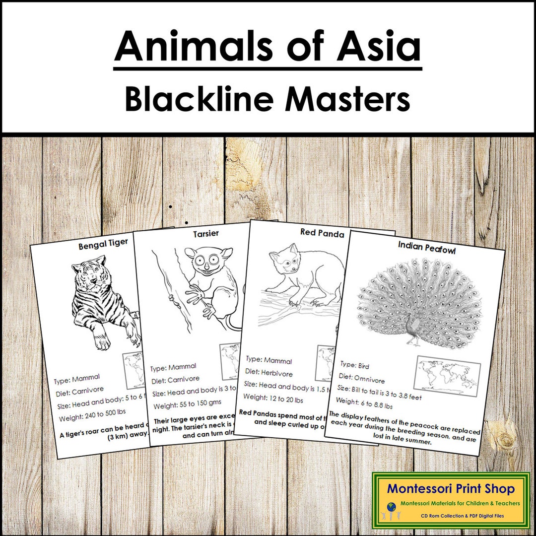 Animals of Asia Facts & Picture Cards blackline Masters Montessori ...