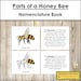 Parts of a Honey Bee Nomenclature Book - Montessori Zoology - Printable ...