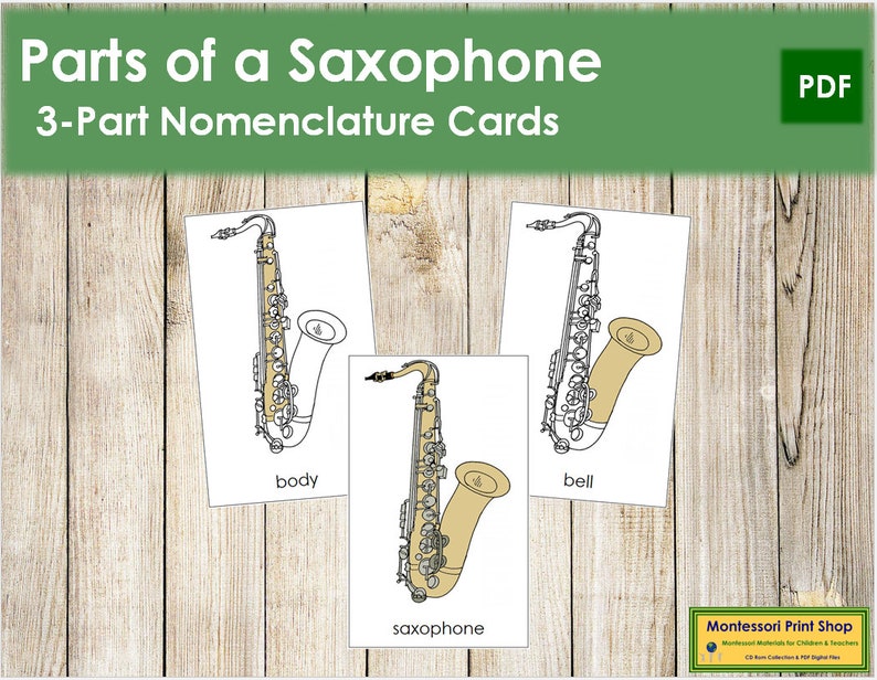 Parts of a Saxophone Nomenclature 3-part Cards Printable - Etsy