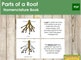 Parts of a Root Nomenclature Book Montessori Botany - Etsy Canada