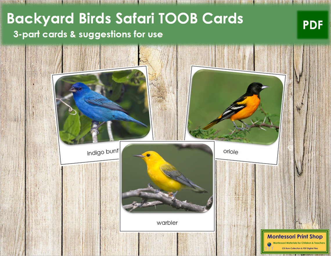 Backyard Birds Safari TOOB Cards Printable Montessori Cards - Etsy