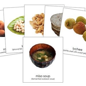Montessori Foods of Asia 3-part Cards - Geography Continent Cards ...