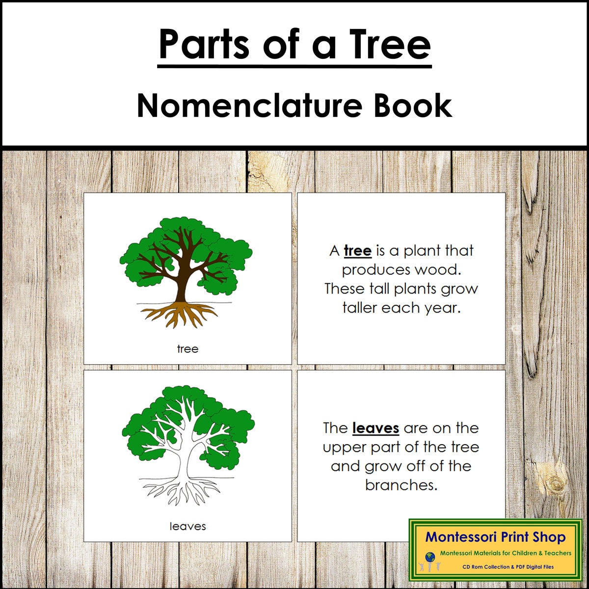 Parts of a Tree Nomenclature Book Montessori Botany Printable ...