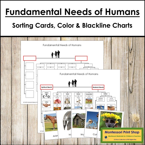 Fundamental Needs Cards Montessori - Etsy