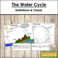 Water Cycle Posters + Labeling Activity, INSTANT DOWNLOAD, DIGITAL - Etsy