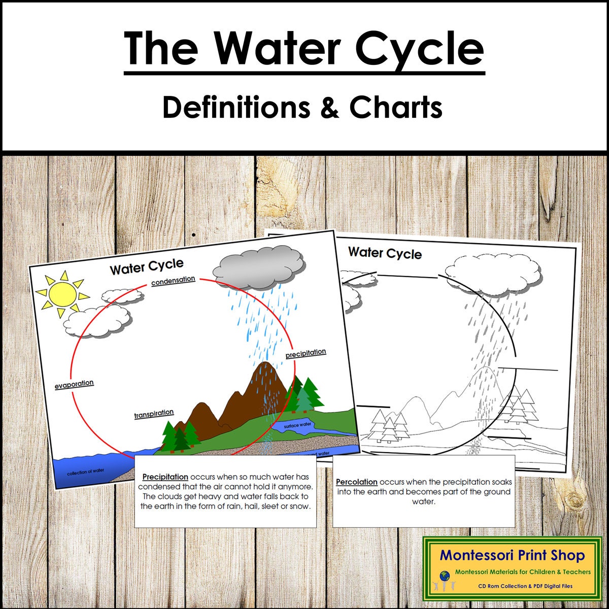 Water Cycle Collection Definition