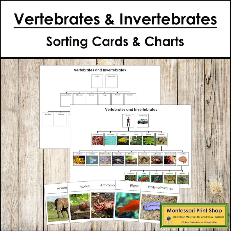 Vertebrates and Invertebrates Cards & Charts - Montessori Animal ...
