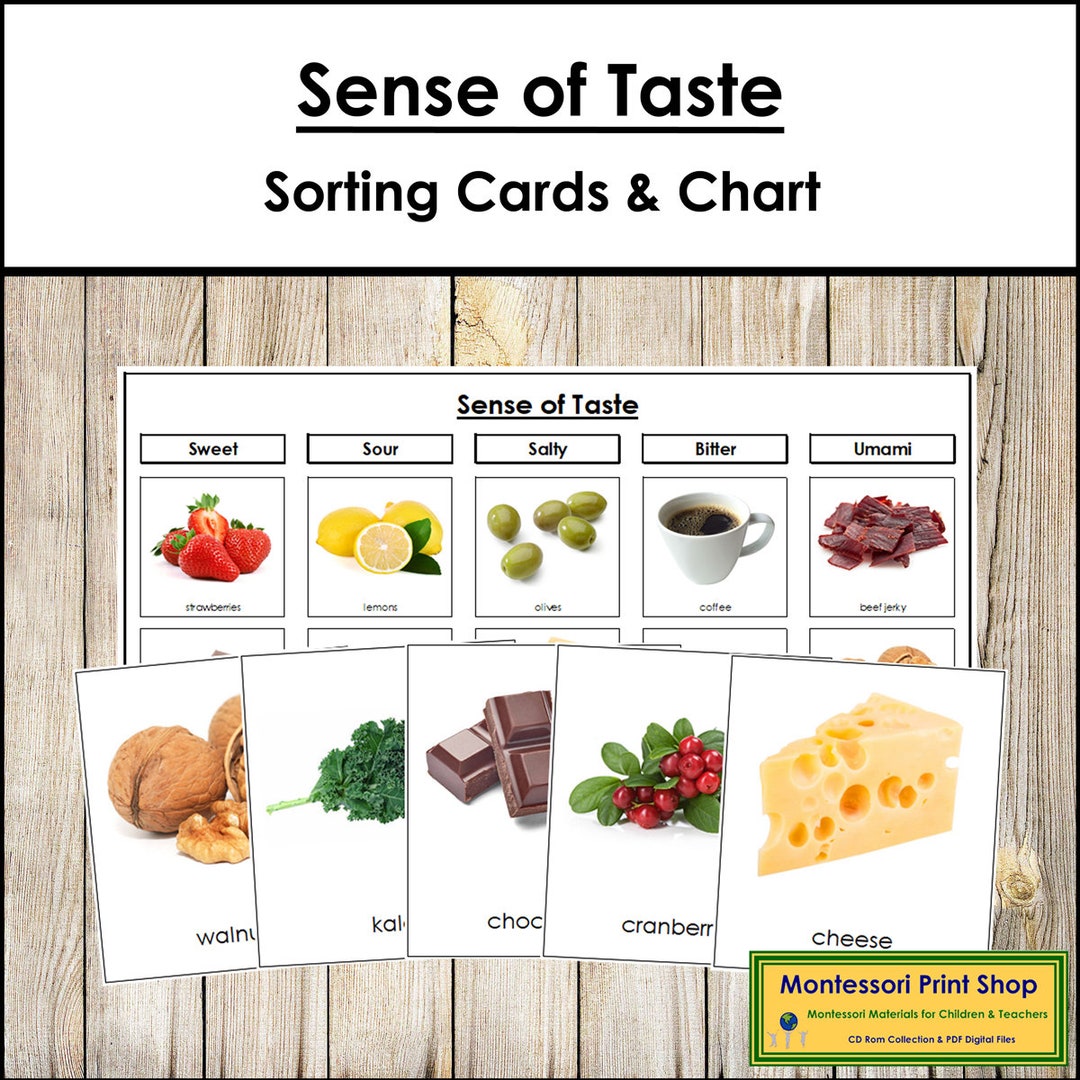Sense of Taste Sorting Cards & Control Chart - Science - Printable ...