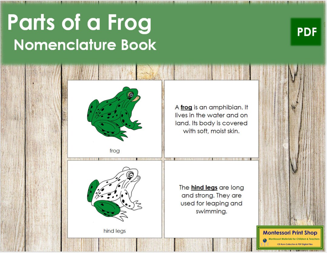 Parts of a Frog Nomenclature Book Montessori Zoology - Etsy