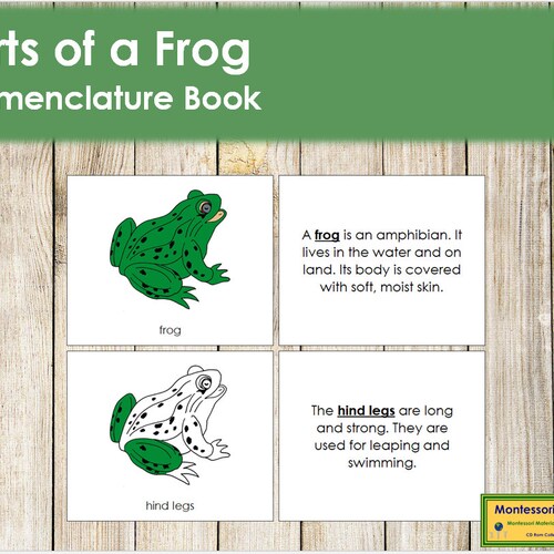 Parts of a Frog Nomenclature 3-part Cards Montessori Zoology - Etsy Canada