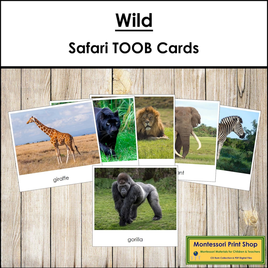 Wild Safari TOOB Cards - Montessori 3-part Cards (digital Download) - Etsy