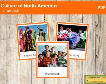 Flags of North America Montessori Continent Cards | Etsy