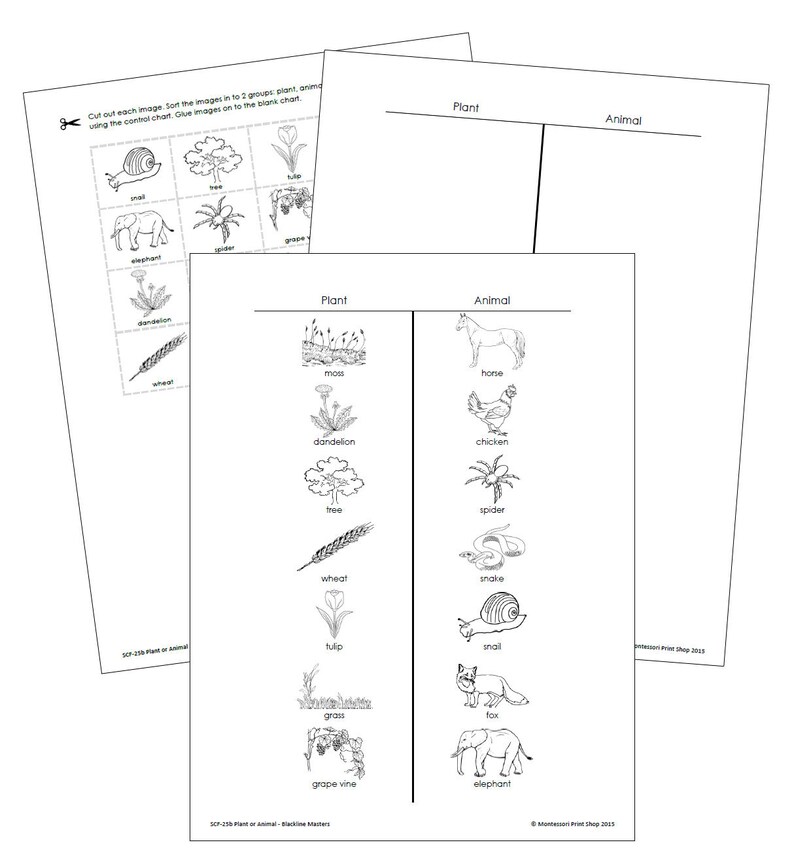 Plant and Animal Sorting: Montessori Blackline Masters (digital ...
