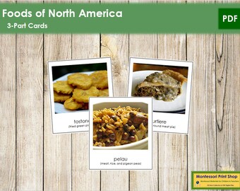 Landmarks of North America Montessori Continent Cards | Etsy