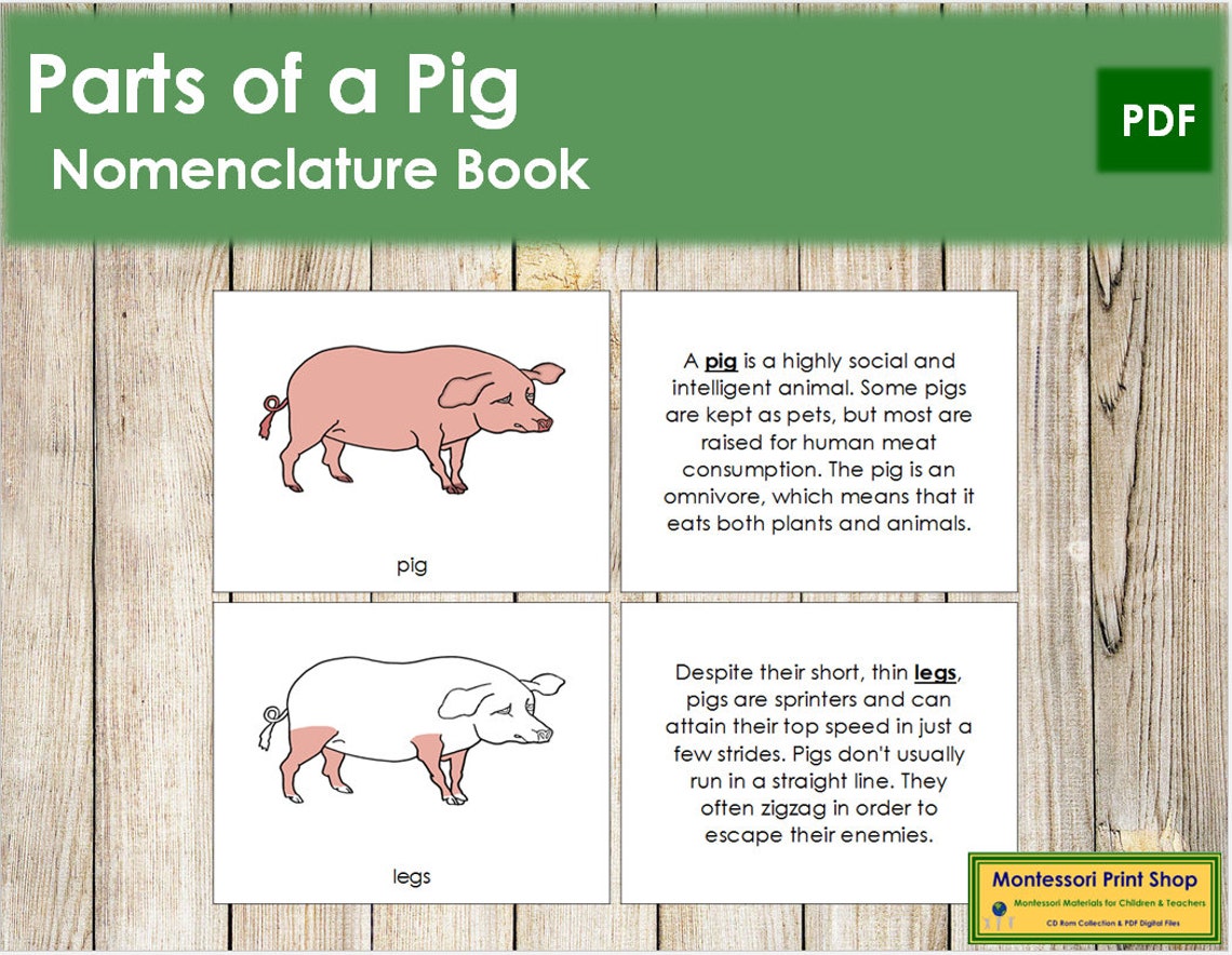 Parts of a Pig Nomenclature Book Montessori Zoology - Etsy