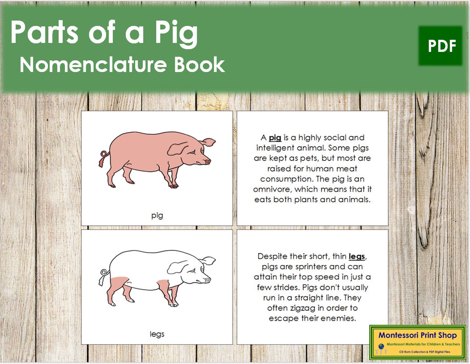 Parts of a Pig Nomenclature Book Montessori Zoology - Etsy