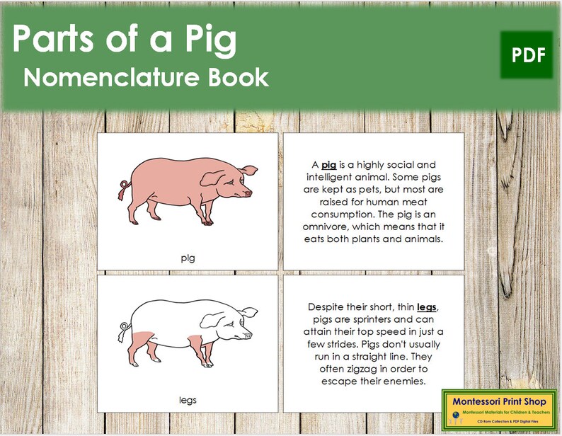 Parts of a Pig Nomenclature Book Montessori Zoology - Etsy